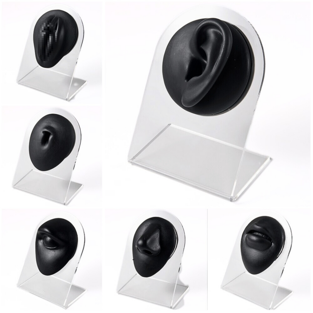 Body Piercing Dummy – APM