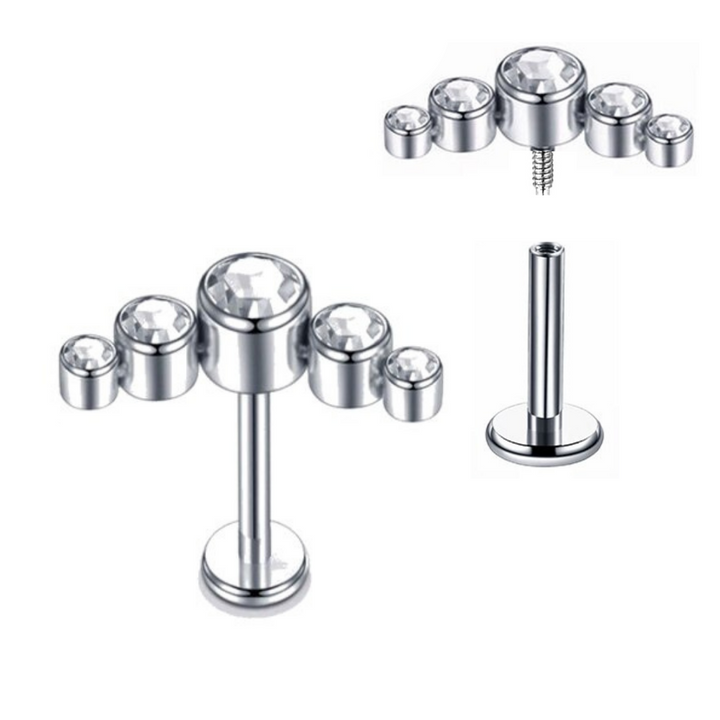 Wholesale 14G 16G Lip Labret Cheek Body Jewelry I APM Body Jewelry – Page 3